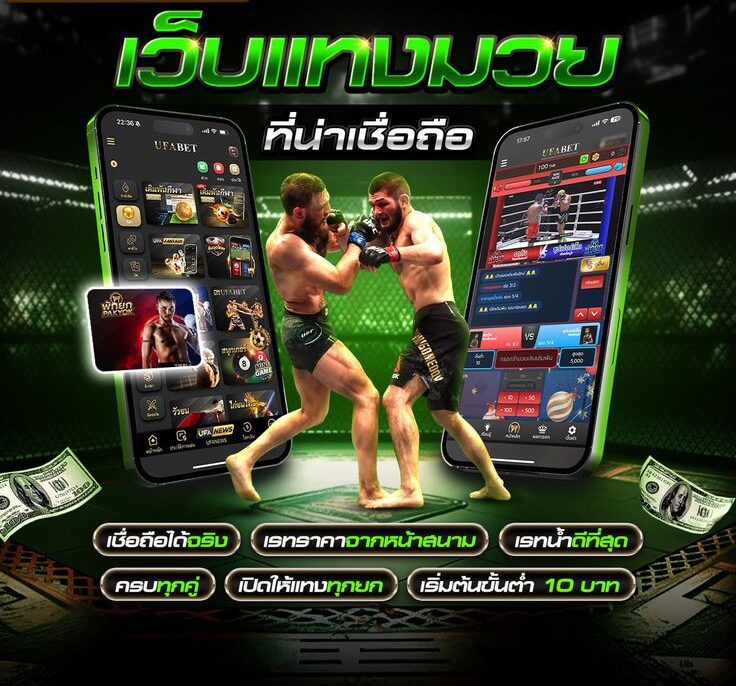 Pakyok24 เว็บมวยออนไลน์ครบวงจร แทงมวยสด ราคาน้ำดีที่สุด